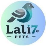 Pigeon Loft Design Plans: The Ultimate Guide to Building the Perfect ...